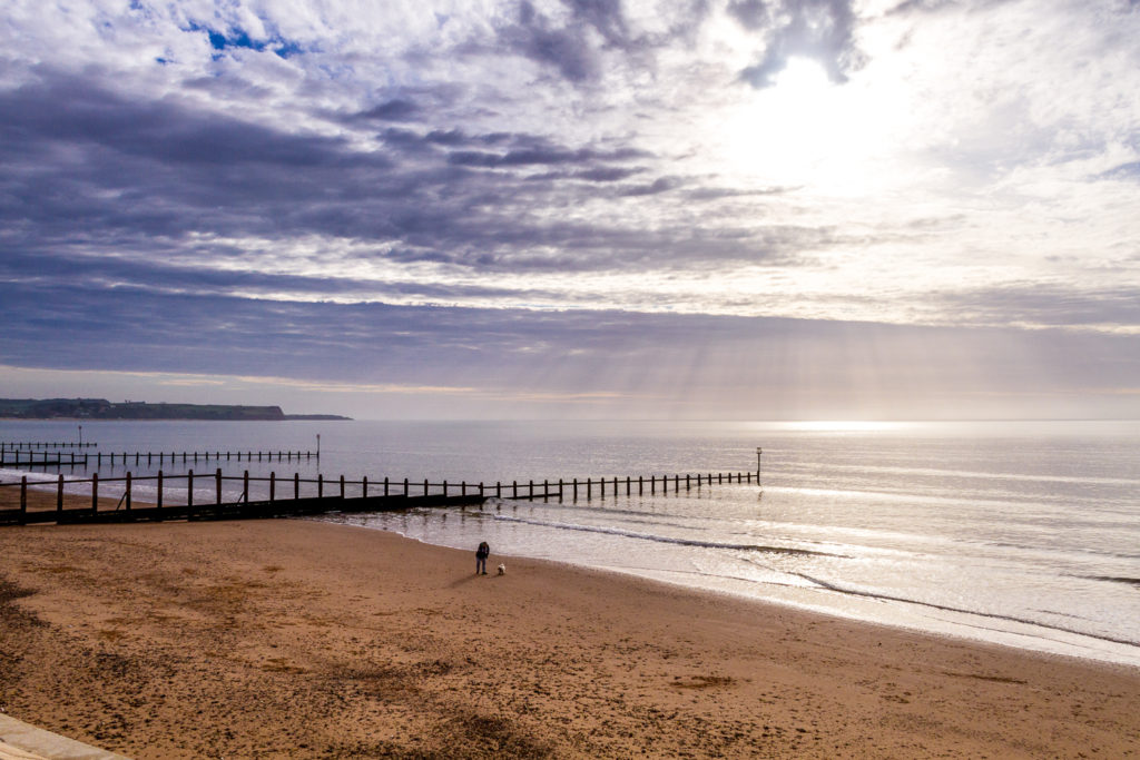 Things To Do In Dawlish | Visit Devon | Langstone Cliff Sea View Hotel ...