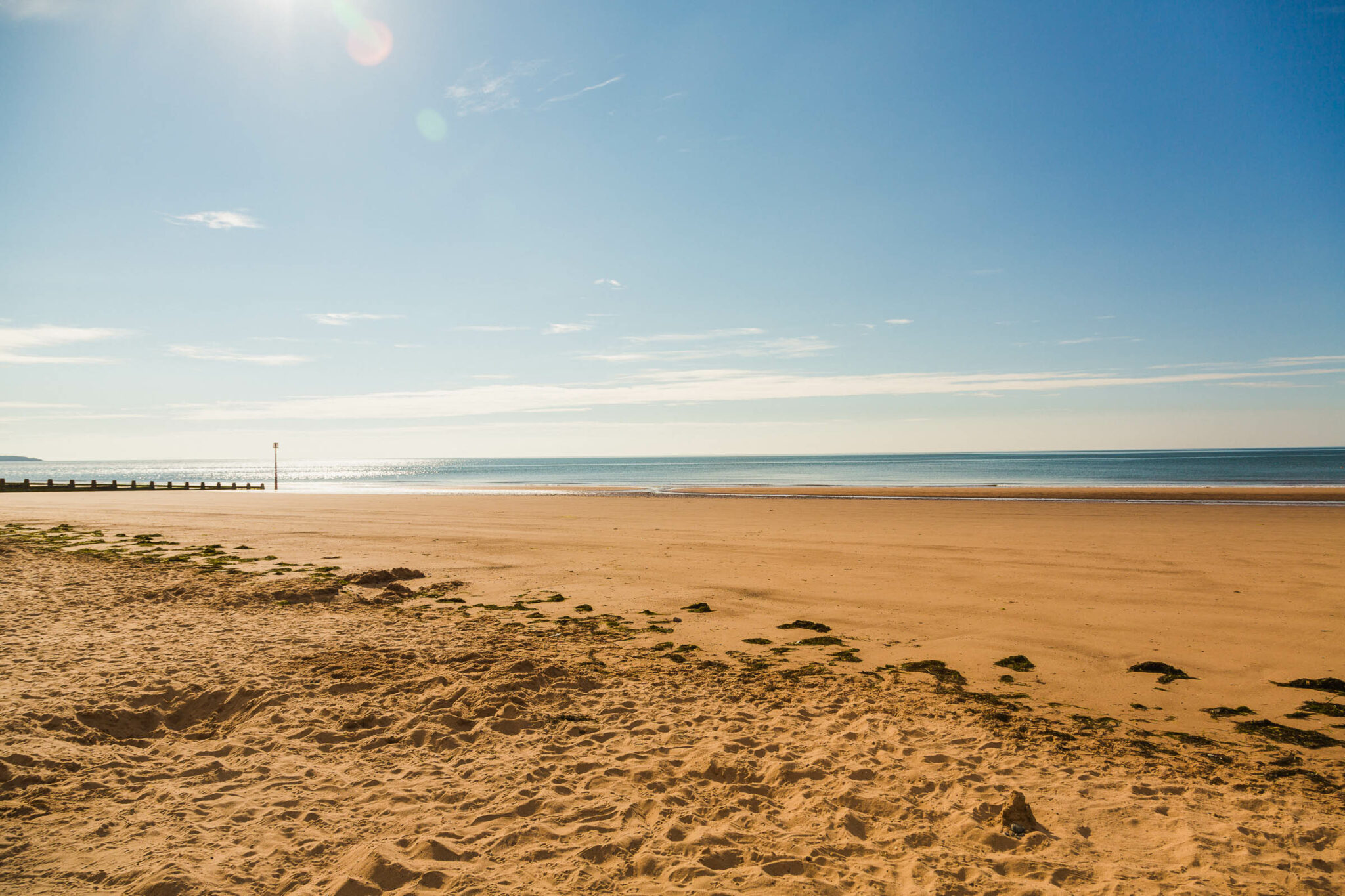 Things To Do In Dawlish During Spring | Langstone Cliff Sea View Hotel ...