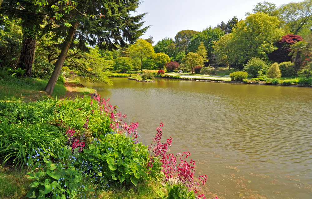 Visit South Devon Chilli Farm – A Unique Garden Experience Near ...