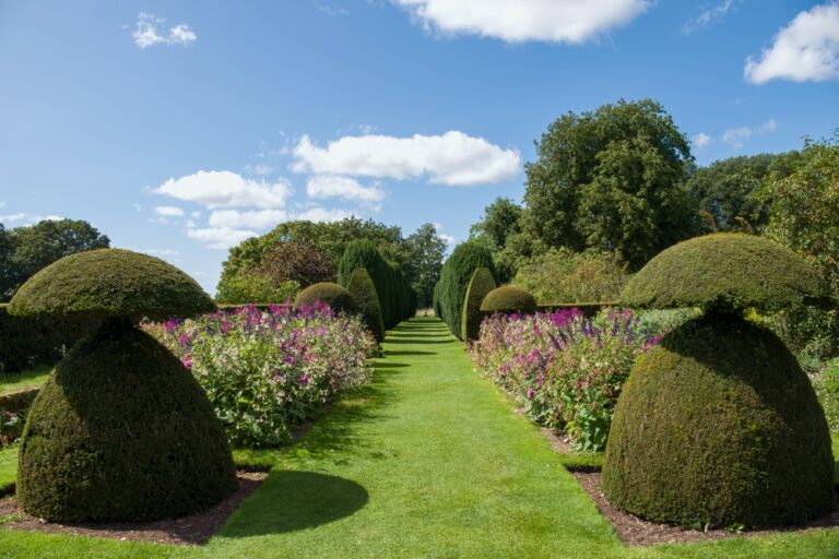 Explore Escot Park – Wildlife, Woodland, and Gardens Near Langstone ...