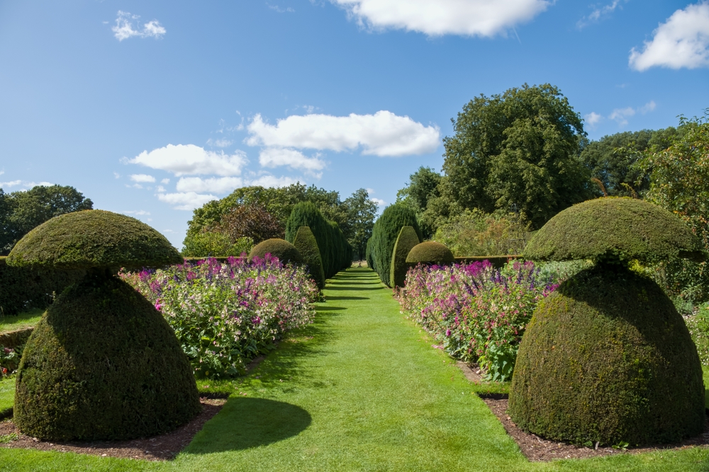 Explore Escot Park – Wildlife, Woodland, and Gardens Near Langstone ...